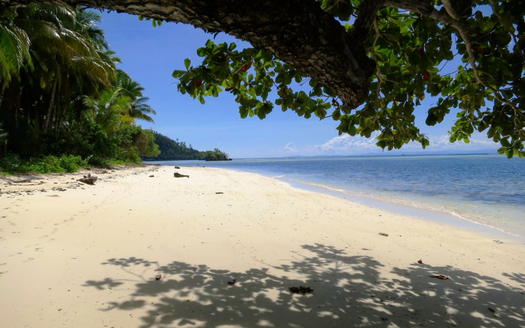 Friwen Island – Raja Ampat Nirwana